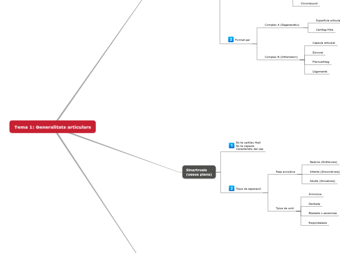 Anatomia T1 Generalitats articulars - Mind Map